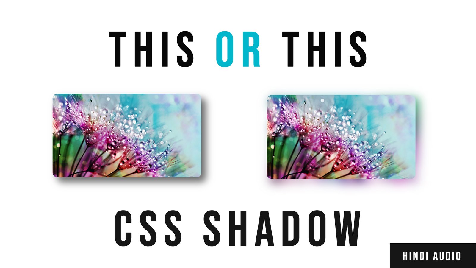 CSS Reflective Shadows Like Image CSS Shadow Study Read Educate